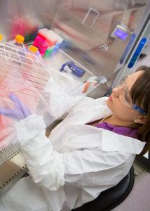 Bioanalytical Lab Capabilities | PPD