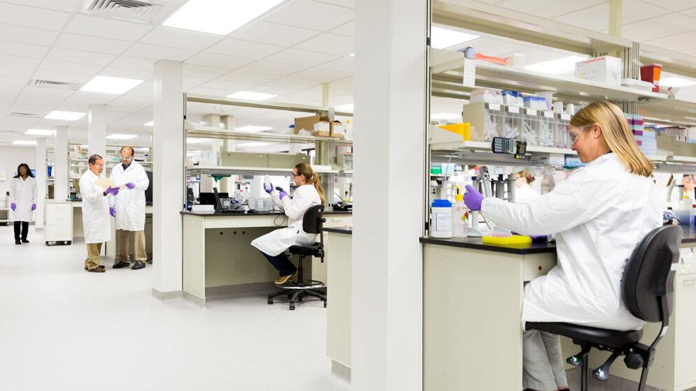 Informed Design of Bioanalytical PCR Assay Testing Parameters | PPD