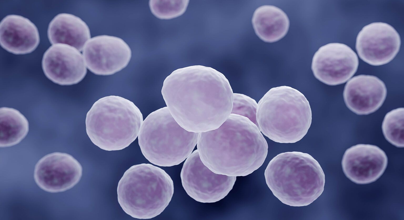 Advances in Mycoplasma Detection: The Enrichment MycoSEQ™ Plus Assay | PPD